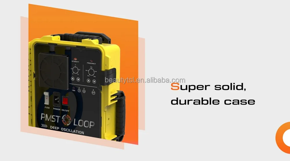 Pemf Therapy Physio Equipment Pemf Horse Pmst Loop With X-wing Double ...