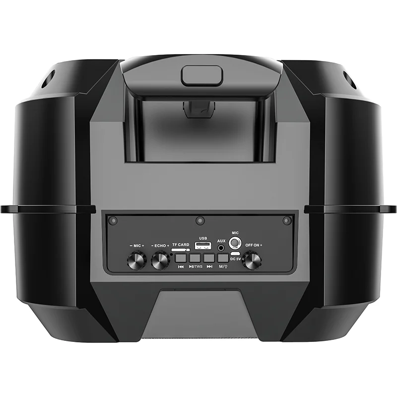 SING-E 30W Active Subwoofer - Party Stage DJ Sound System