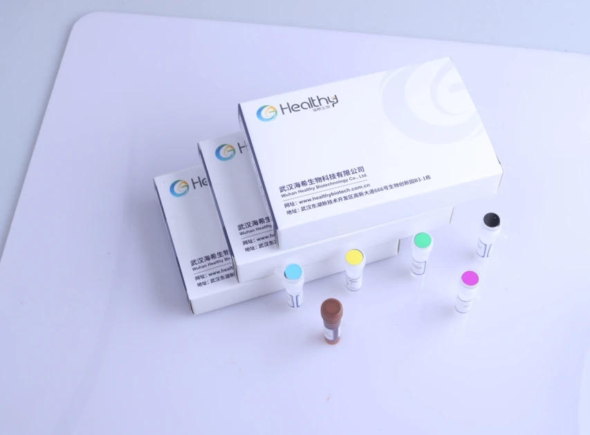 Healthybiotech Real-time Pcr Gene Mutation Detection Kit Jak2-v617f ...