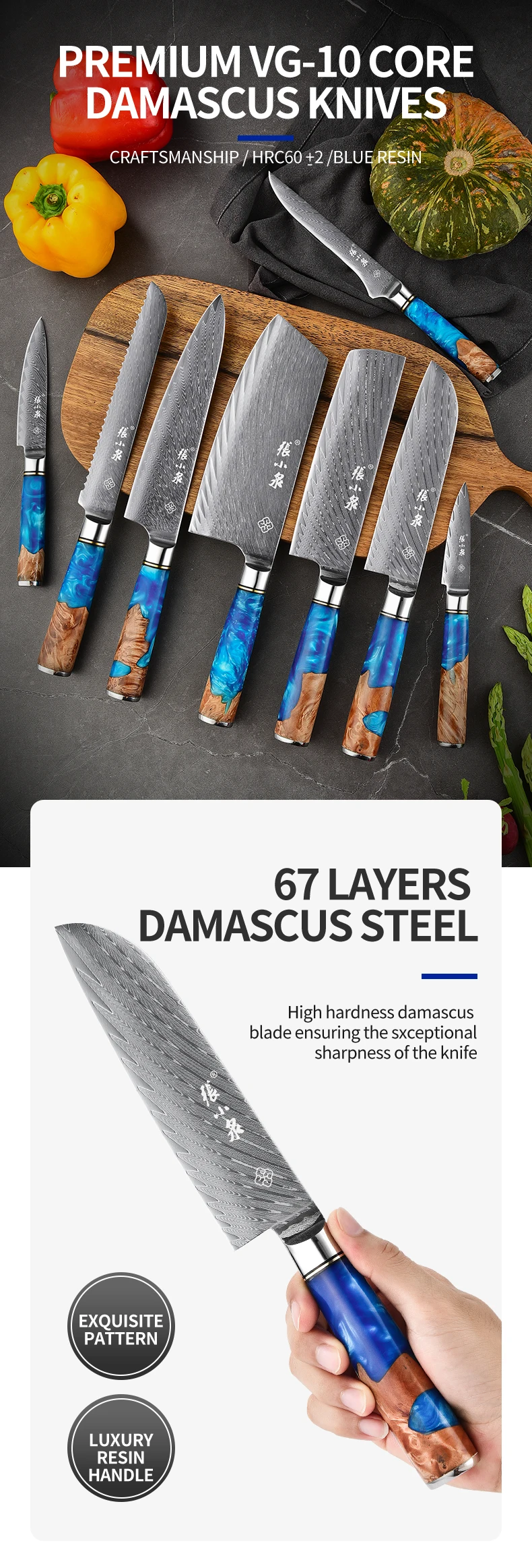 Chef Knife Vg10 67 Layers Japanese Damascus Kitchen Knife Set with ...