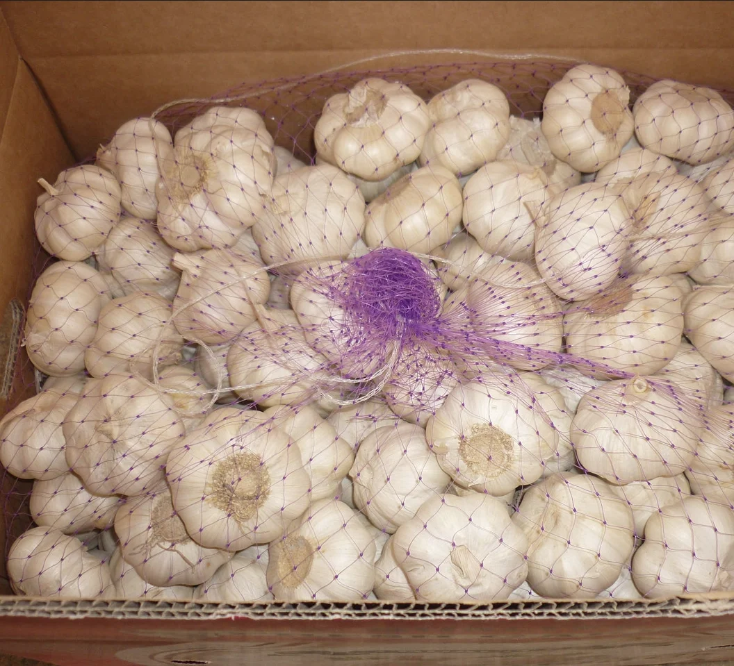 Fresh Garlic Chinese 2023 White Garlic Red Garlic Alho Ajo Wholesale ...