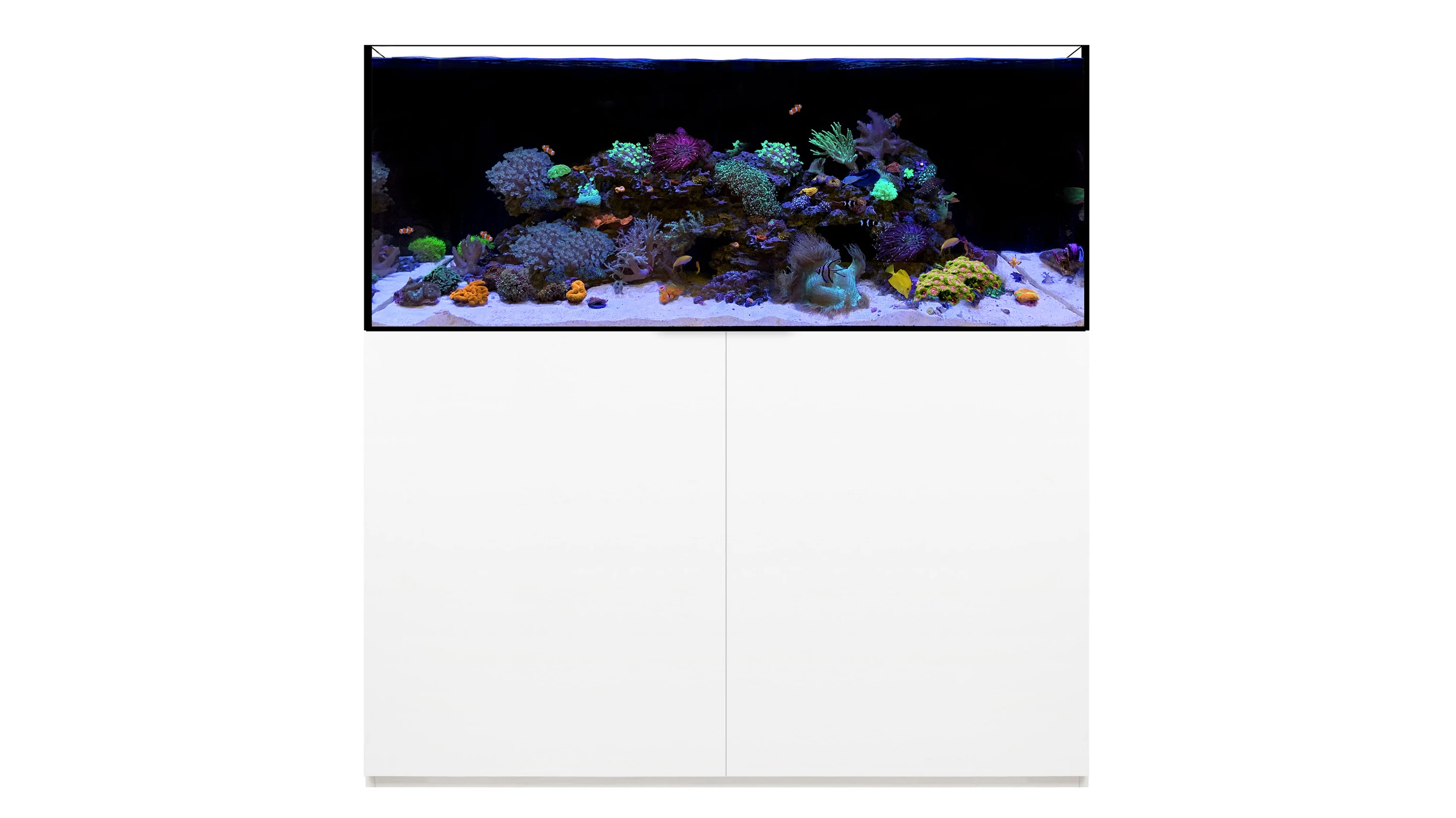 4 Feet 125 Gallon Glass Aquarium - Sustainable & Clear