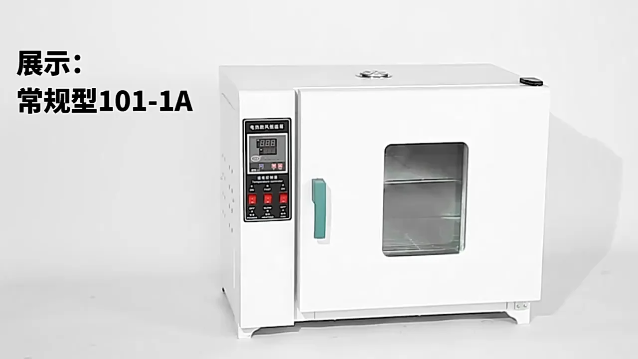 Laboratory Thermostat Electric Blast Drying Box For School Biochemistry ...