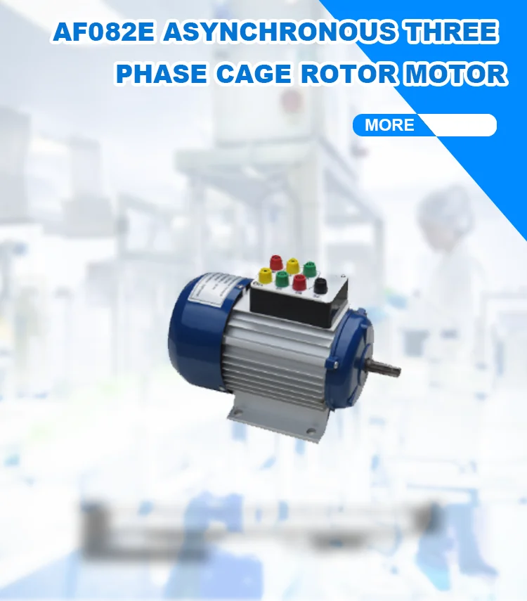Asynchronous Three Phase Cage Rotor Motor Educational Lab Equipment ...