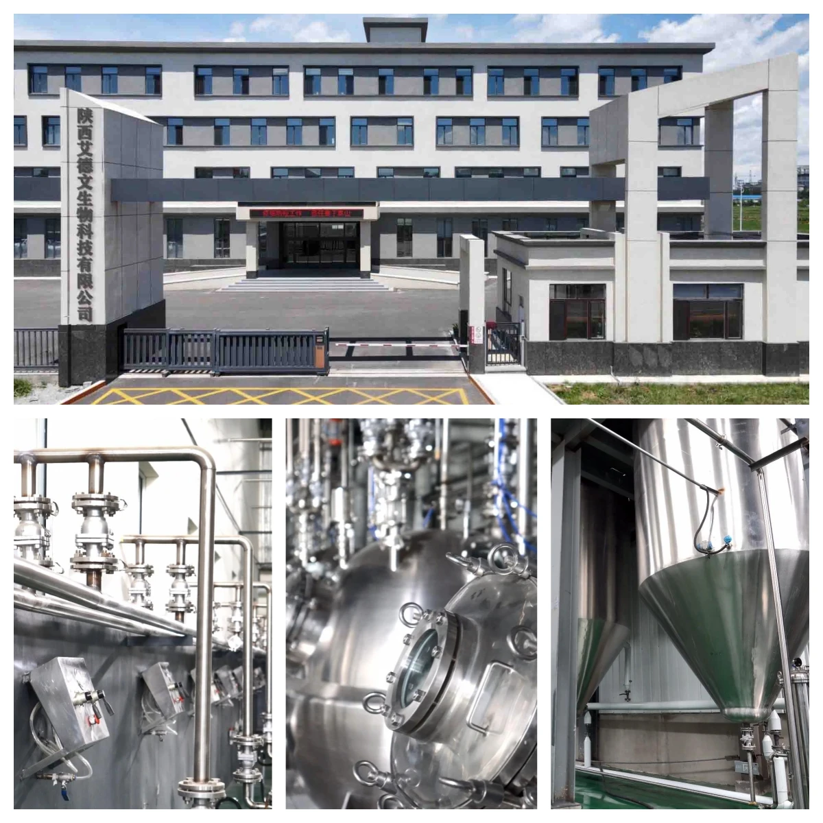 Vitex Extract Vitex Negundo Extract/chaste Tree Extract Powder/chast ...