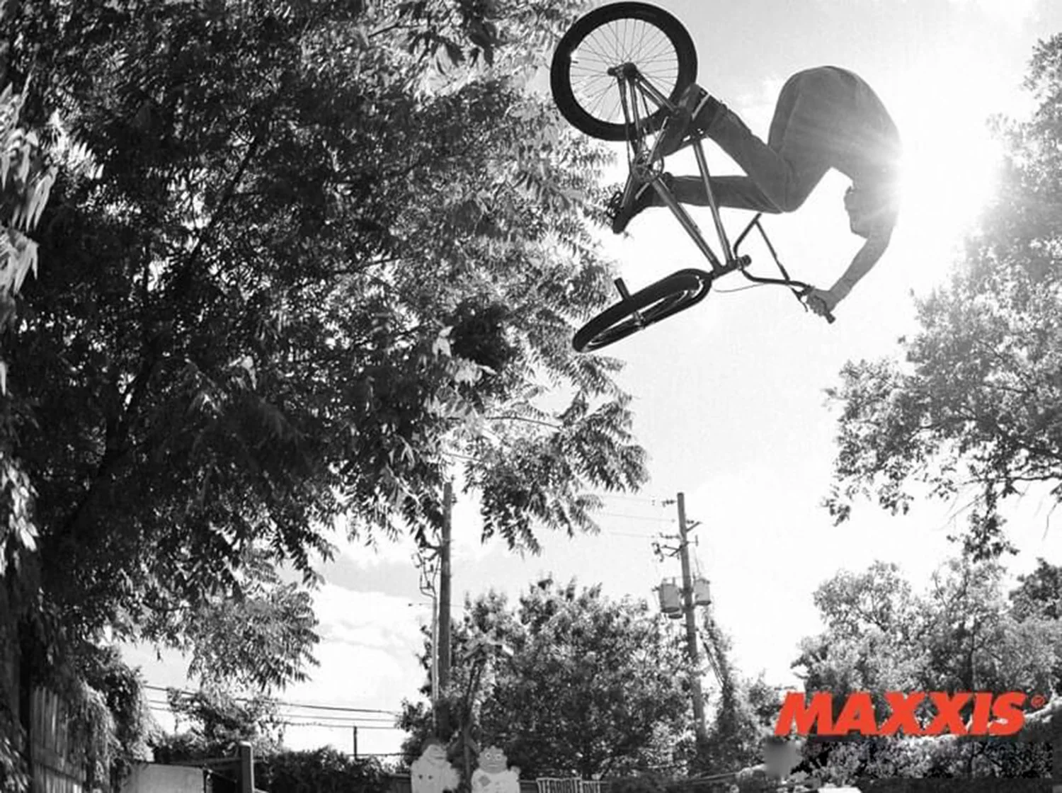 Maxxis Hookworm MTB Dirt Jump Bike Tires - Durable & Versatile