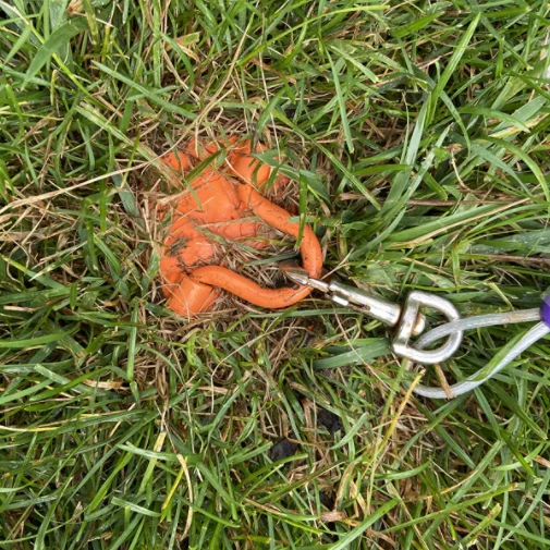 Spiral Ground Screw Earth Anchor Spike - Durable & Versatile