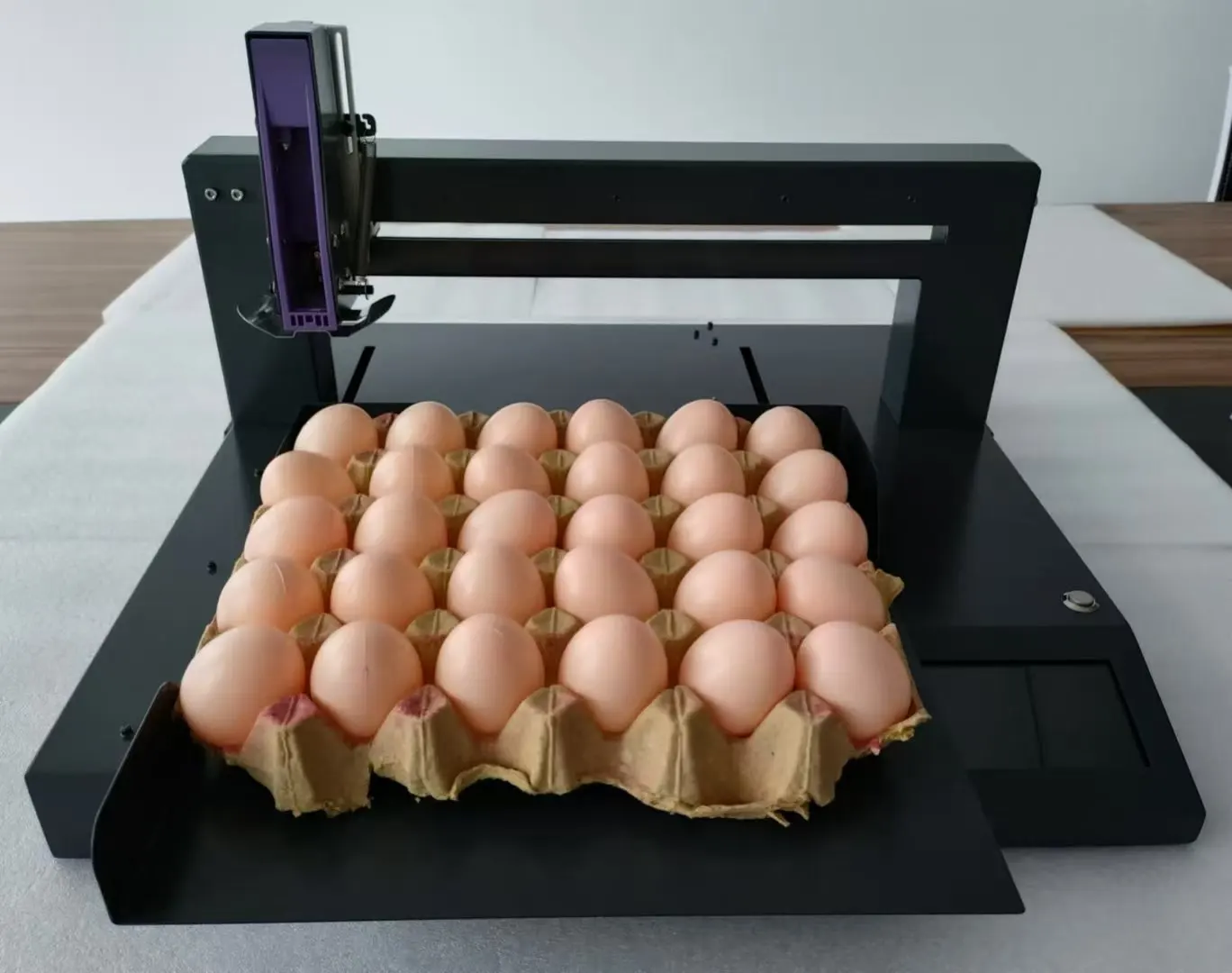 Egg logo Printer Egg Marking Machine Chicken Egg Printing Machine ...