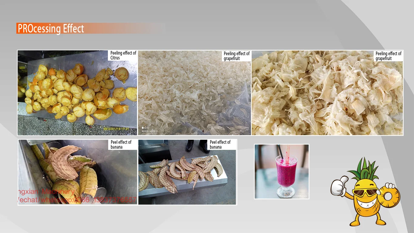 Fresh Lychee Peeling and Coring Machine - 3-5t/h Capacity