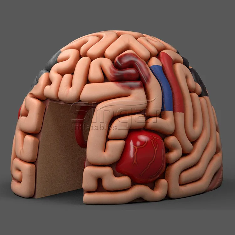 Inflatable Organ - Giant Inflatable Brain Model for Teaching