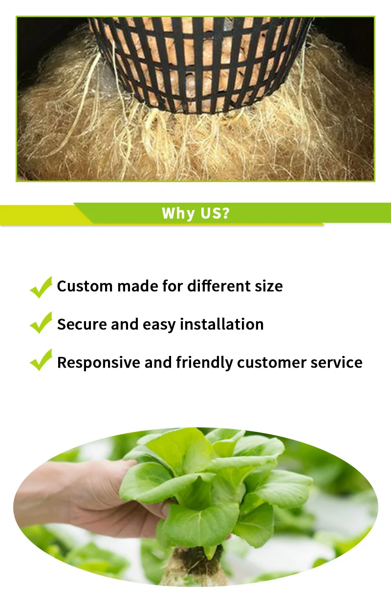 Aeroponic System Clone Bucket - High Rigidity & 1 Year Warranty