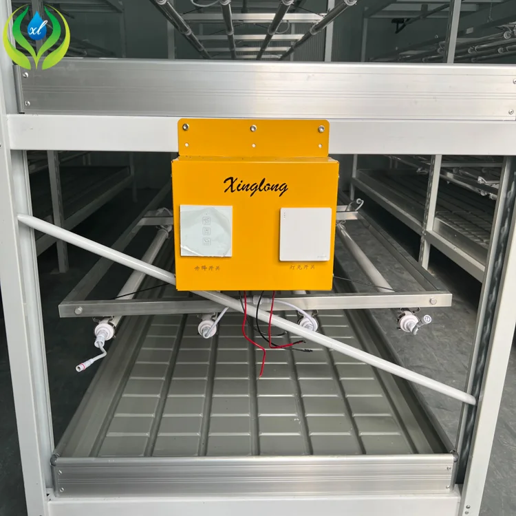 MYXL Ebb Flow Tables - Efficient Hydroponic Grow Systems