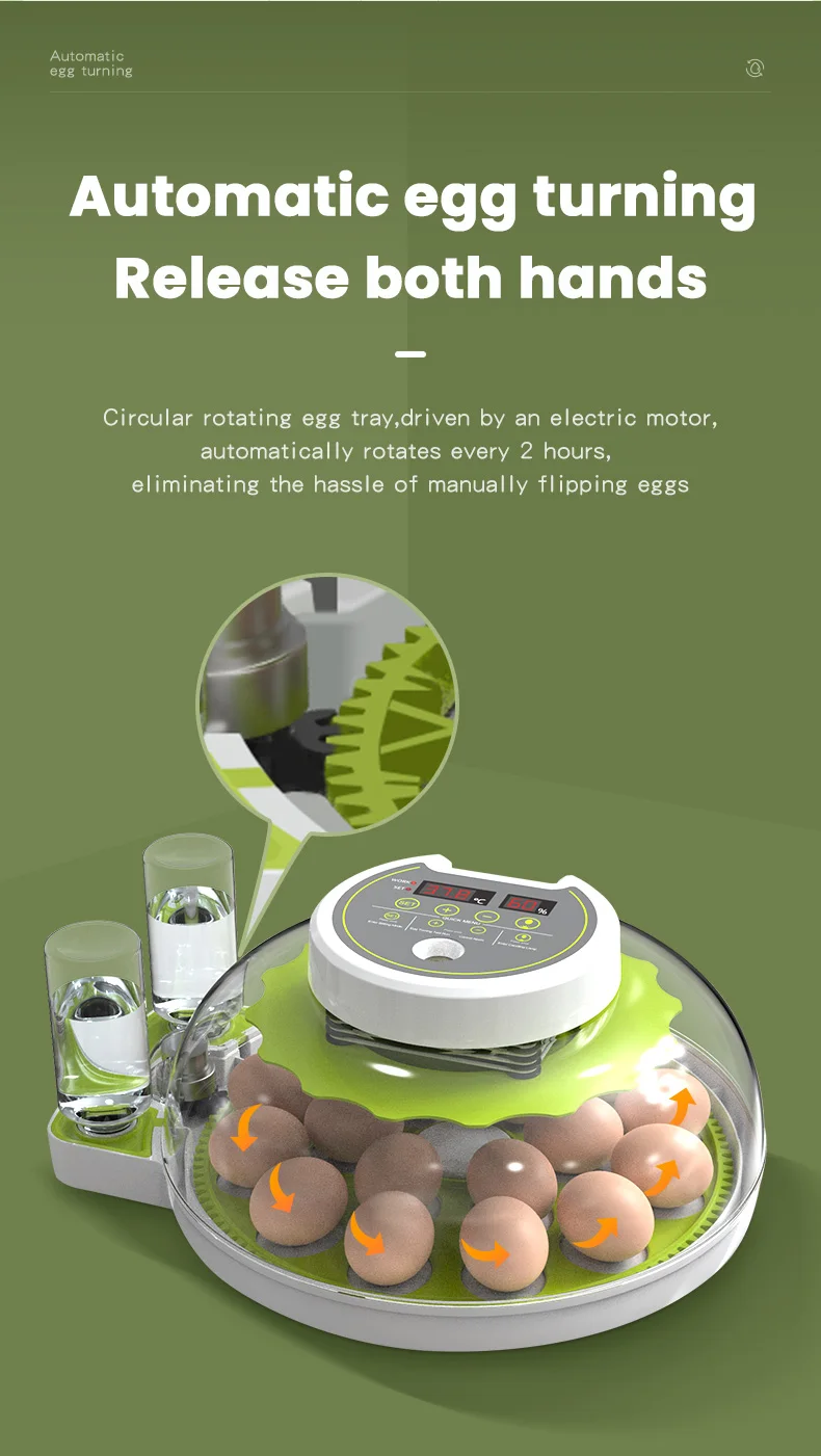 Small Size Egg Hatcher Incubator - High Productivity