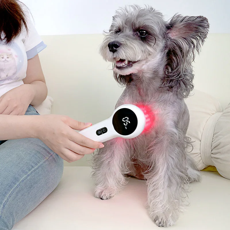 Powercure Pet Use Medical Instrument Laser Therapy Device For Dogs Pain ...