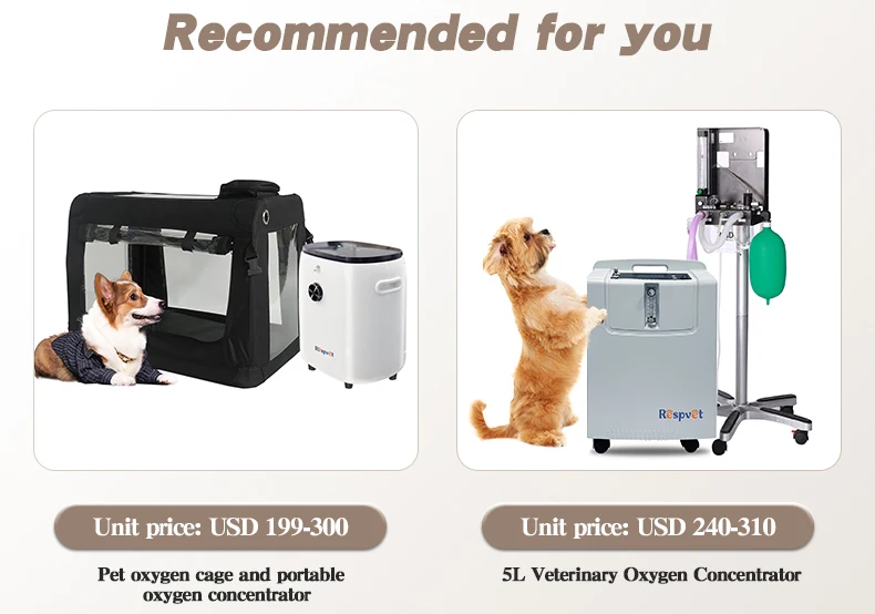 Longfian Portable 5l Veterinary Oxygen Concentrator,Providing Oxygen ...