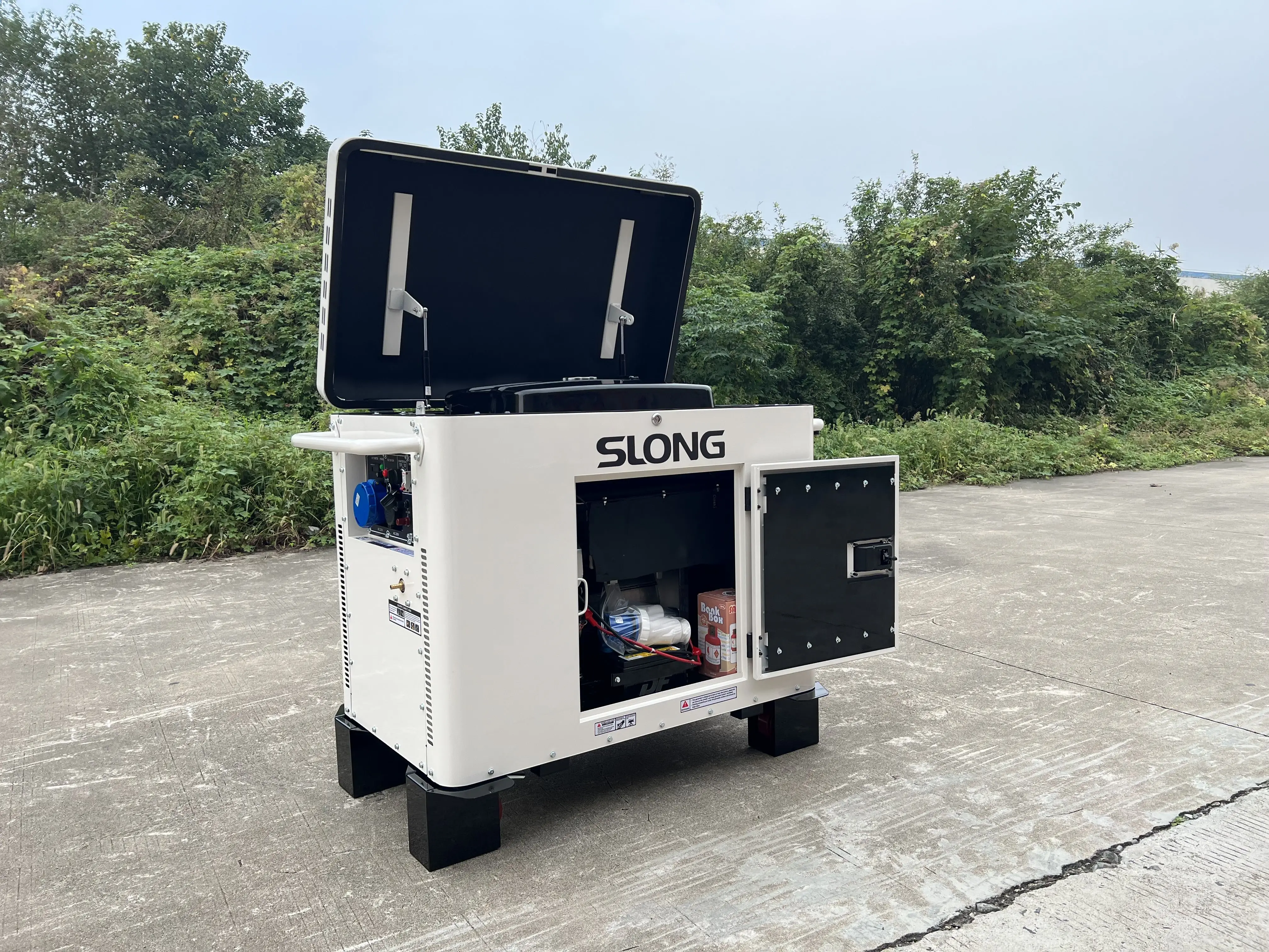 Slong 10000 Watt Silent Heavy Duty Propane Lpg Natural Gas Generators ...