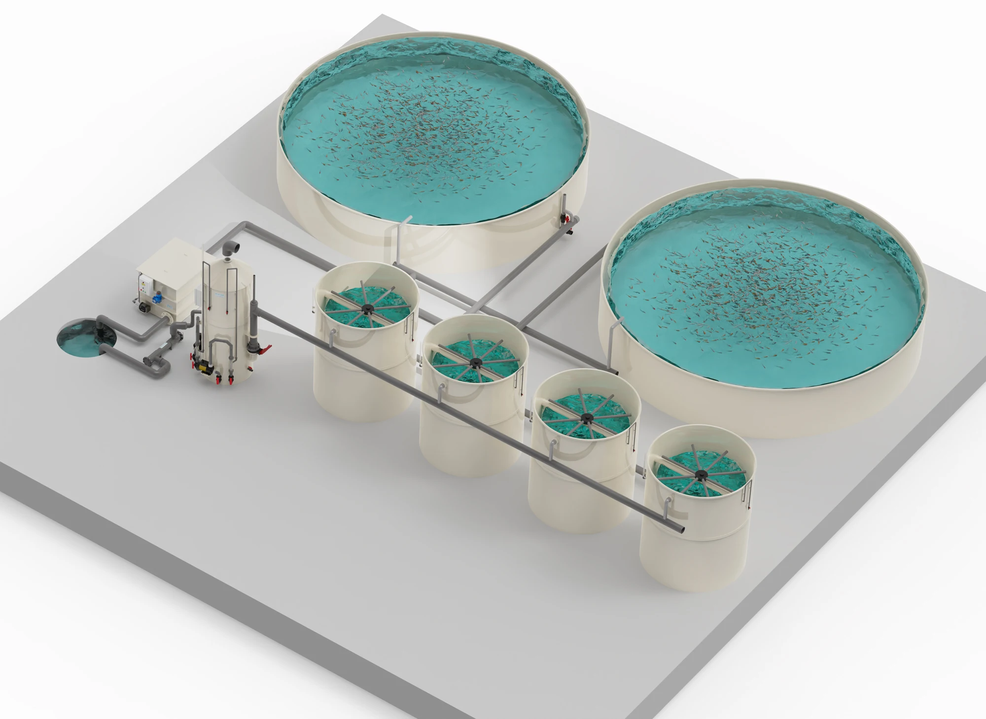 Ras Shrimp Farming Aquaculture System - Efficient & Durable