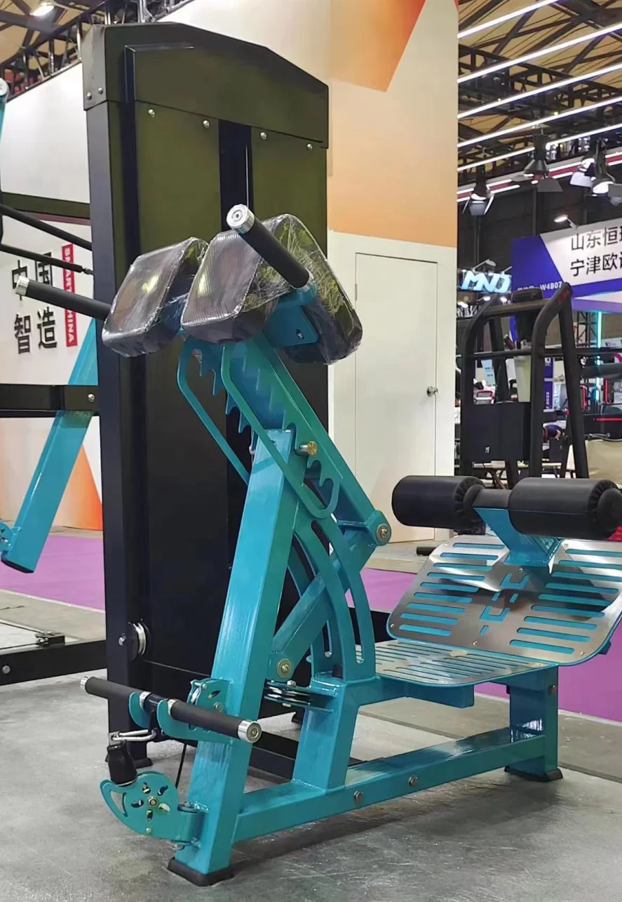 Adjustable Comprehensive Roman Chair - Back Extension Machine