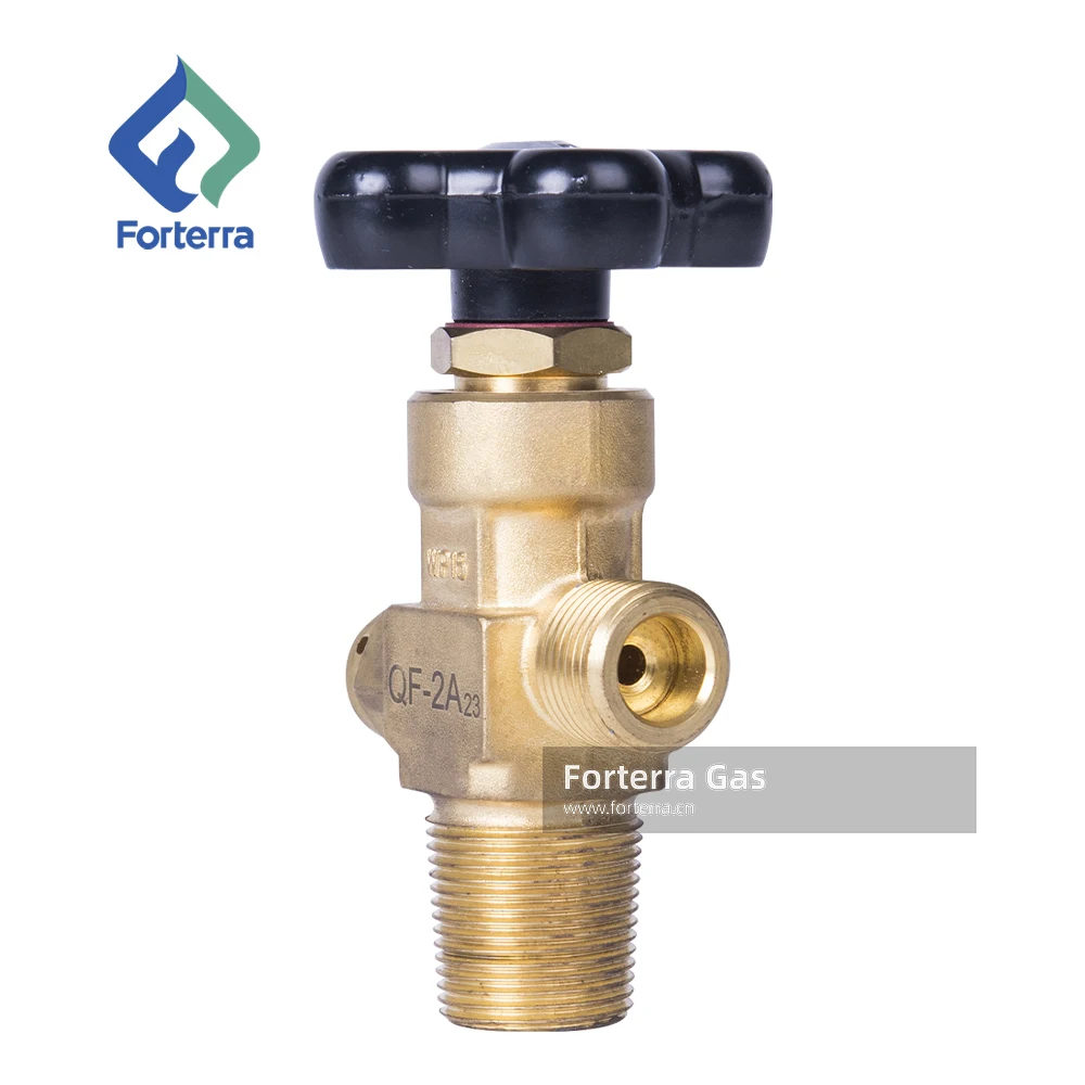 CGA320 CO2 Gas Cylinder Valve - 15mpa Brass for Industrial