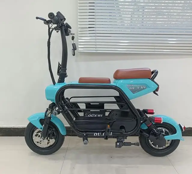 City Road Street Ebike Mini Electric Bike Two Seats Lithium Battery ...