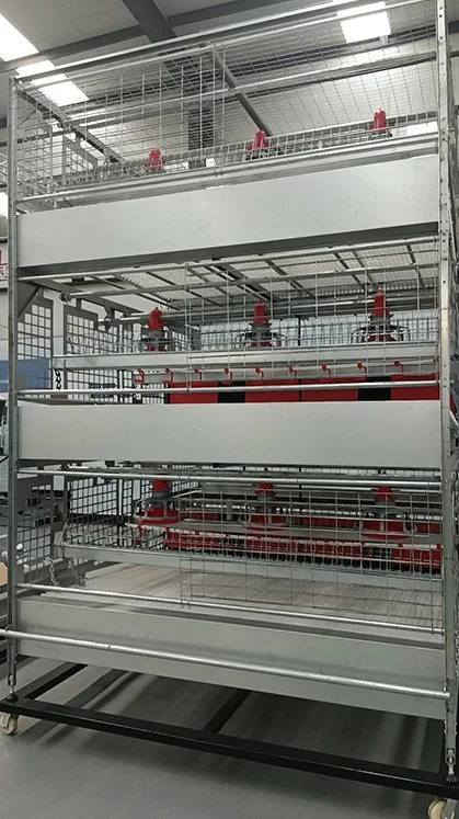 Automatic Chicken Cage System - Efficient Poultry Farming