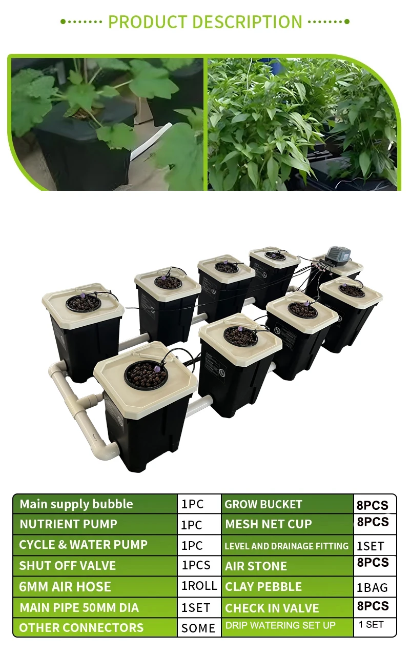 RDWC 8 Buckets Hydroponic System - Efficient Plant Growth