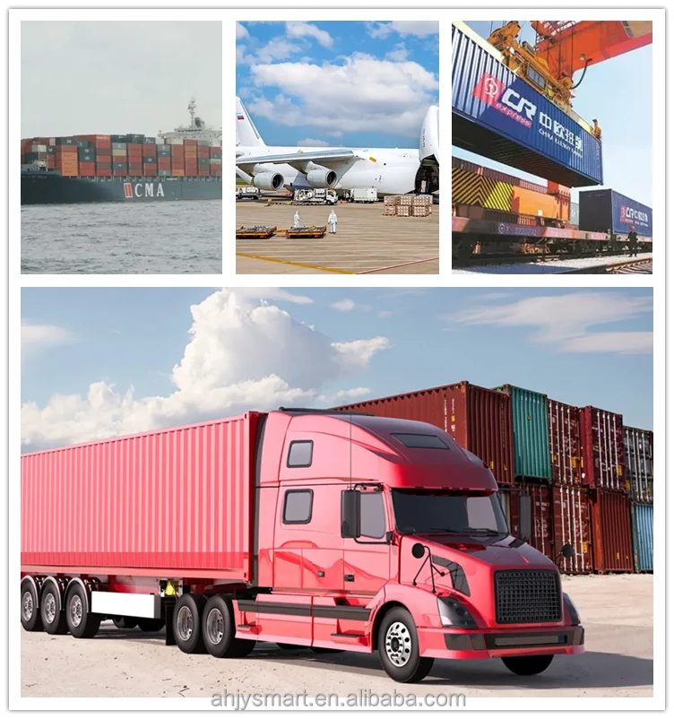 Customized Color Electric Cargo Bike Electric E-bike Cargo Family E ...