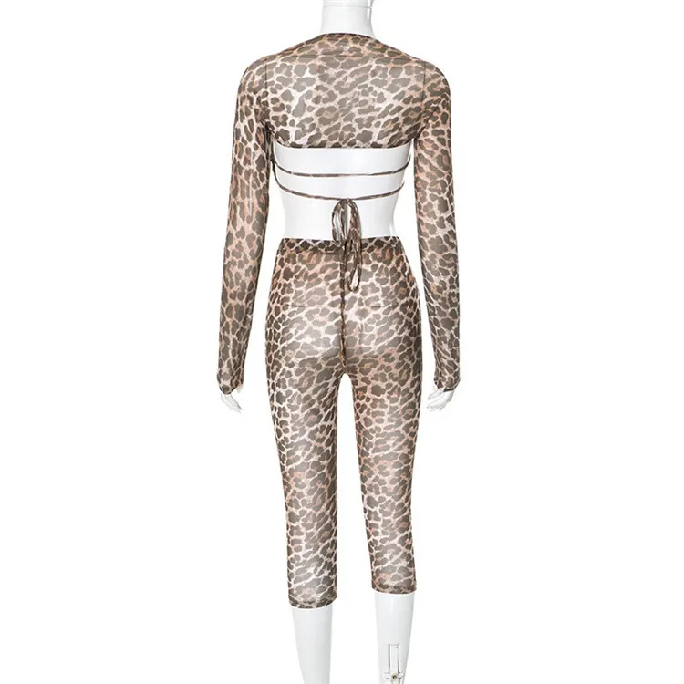 Leopard Print Mesh Long Sleeve Crop Top and Bra and Legging Sets Womens ...