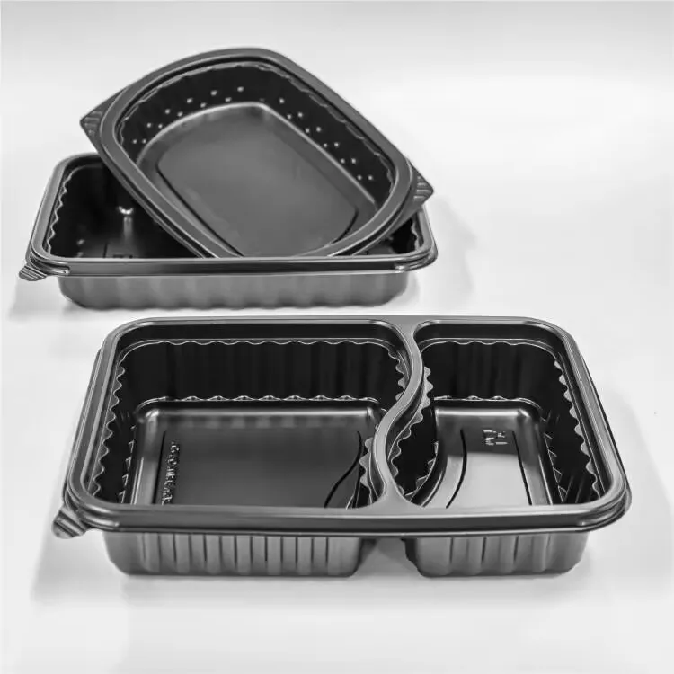 2-Compartment disposable food grade PP plastic takeaway food box ...