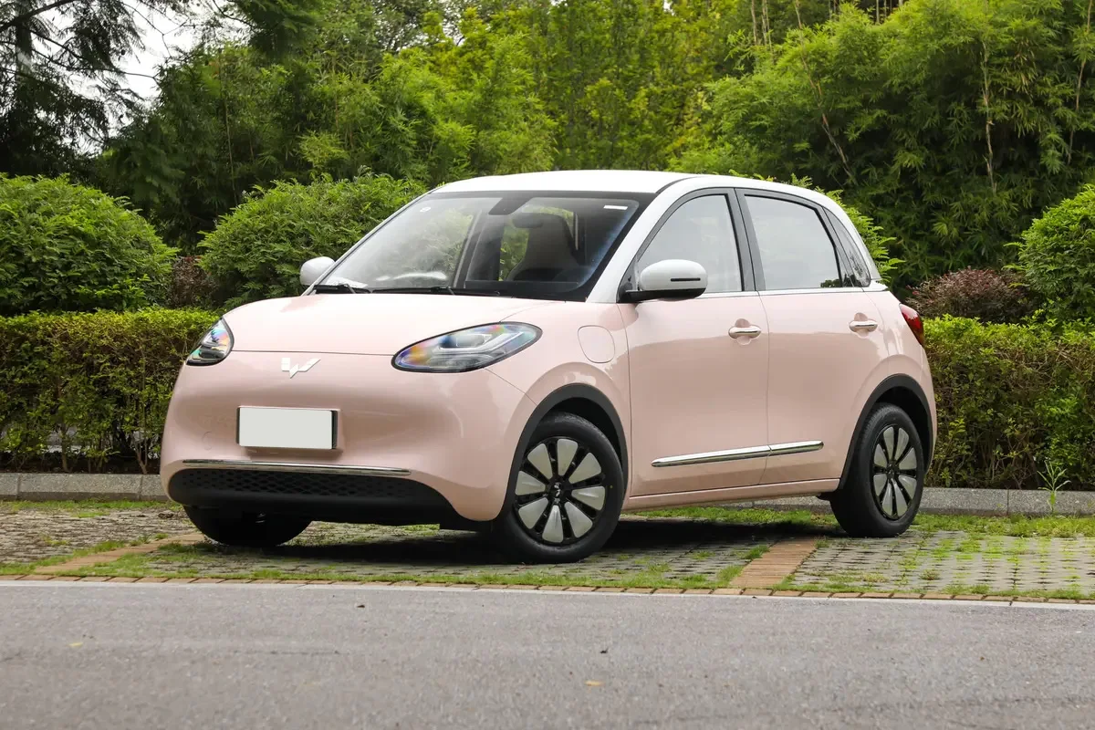 New Car 2024 Wuling Binguo Ev 5 Door 4 Seat Wiling Bingo 2023 Explosive ...