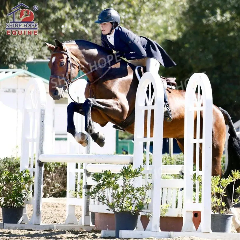 New Design Competition Horse Products Jumping Fence Outdoor Obstacle ...