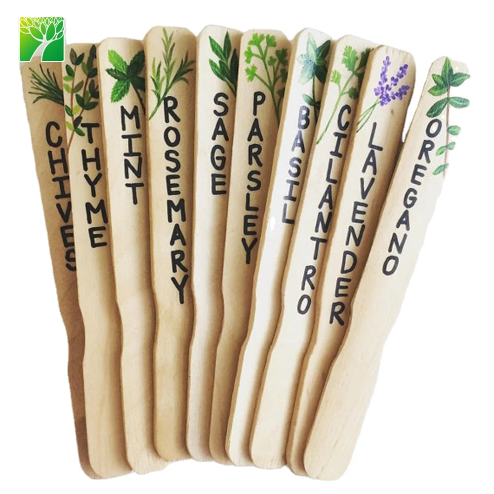 Hot Sale Custom Color Wooden Germinate Labels Garden Mark For Decor ...
