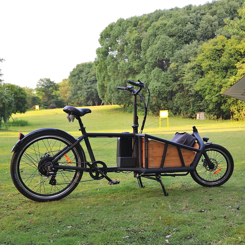 48v500w 8fun Motor 2 Wheels Family Cargo Bike Front Loading Carry Kids ...