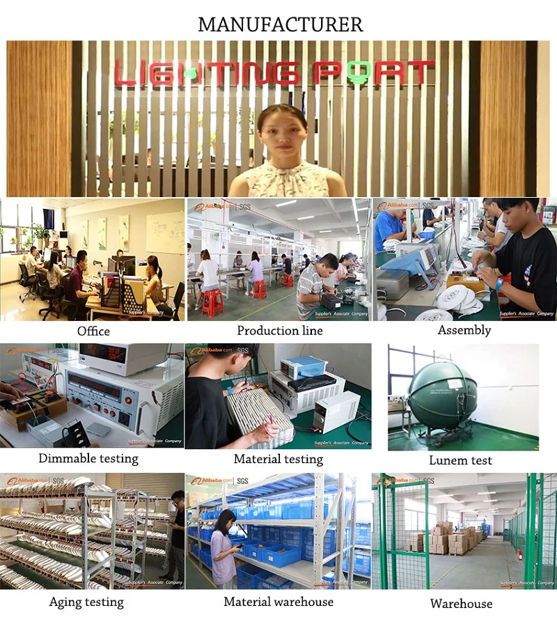 Company Overview - SHENZHEN BLOSSOM LIGHTING CO., LIMITED