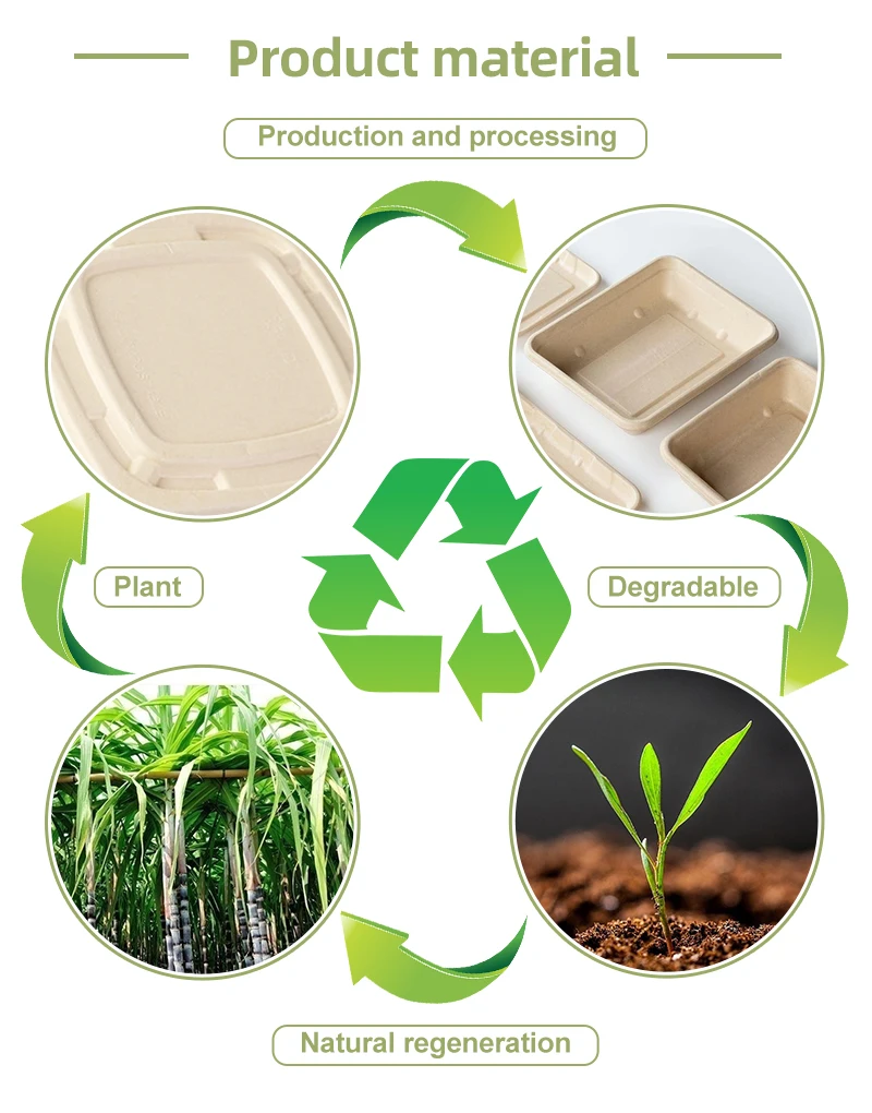 Compostable Dinnerware Set Biodegradable Sugarcane Bagasse Takeaway ...