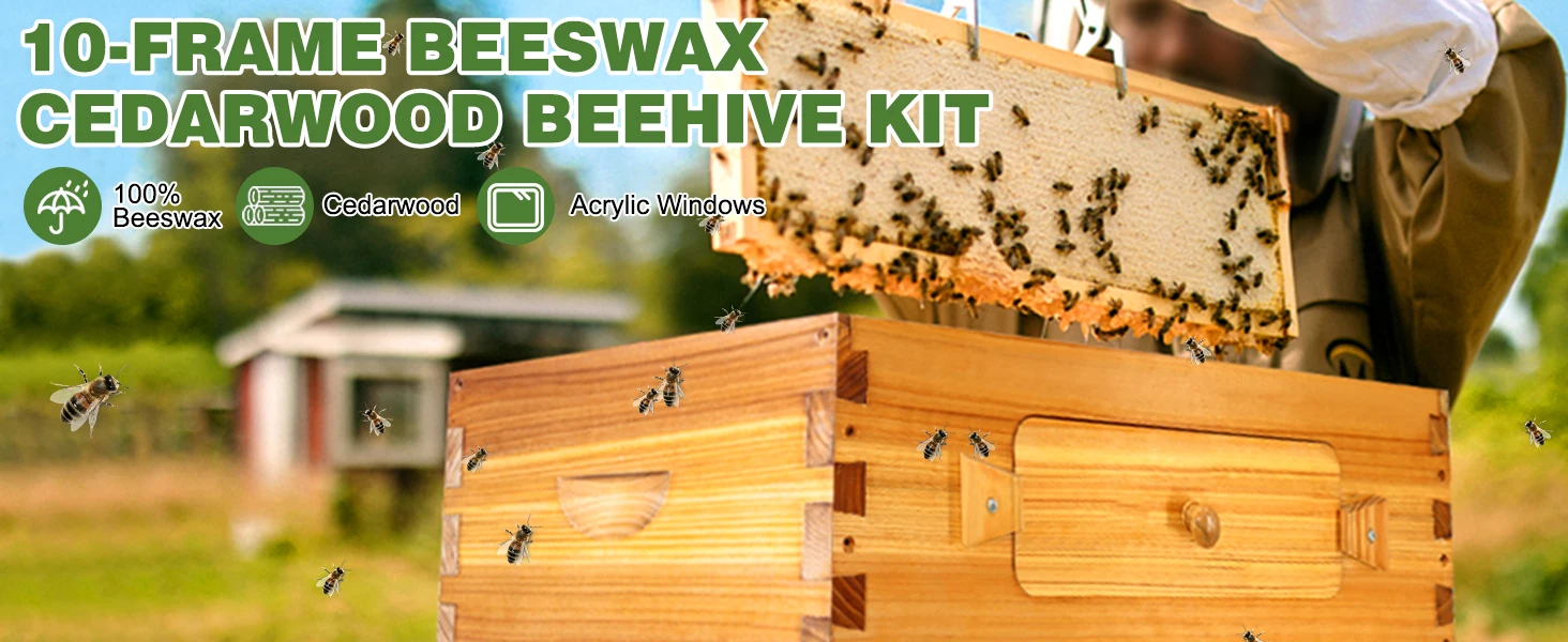 10 Frame Langstroth Beehive Unassembled Deep Bee Hive Box Dipped in 100 ...