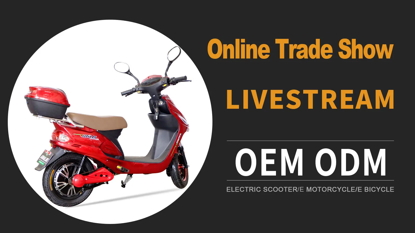 350W EEC Certified Electric Motorcycle Bike for Delivery & ODM