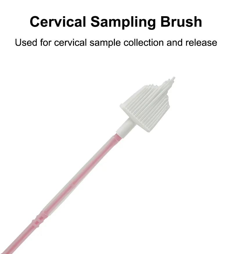 Disposable Cervical Brush Cervical Cyto Sampling Brush Cervical ...