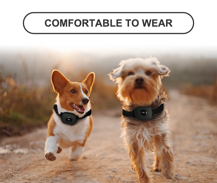 Leash Dog Gps Cat Tracker Pet Monitor Collar Pet Tracker With App Dog ...