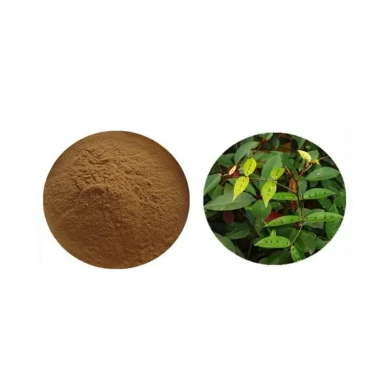 Extract Of Hymenium Nitifaciens Radix Zanthoxyli Radiator Plant - Buy ...