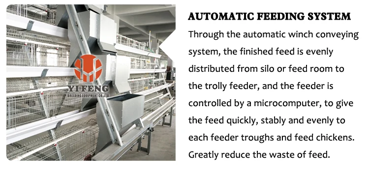 Good Price Automatic Poultry Farm A Type 5000 Birds Laying Hens Battery ...
