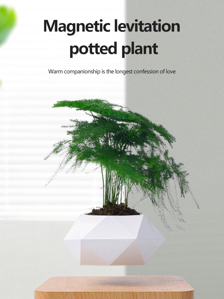 Levitating Planter - Magnetic DIY Flower Pot Suspension