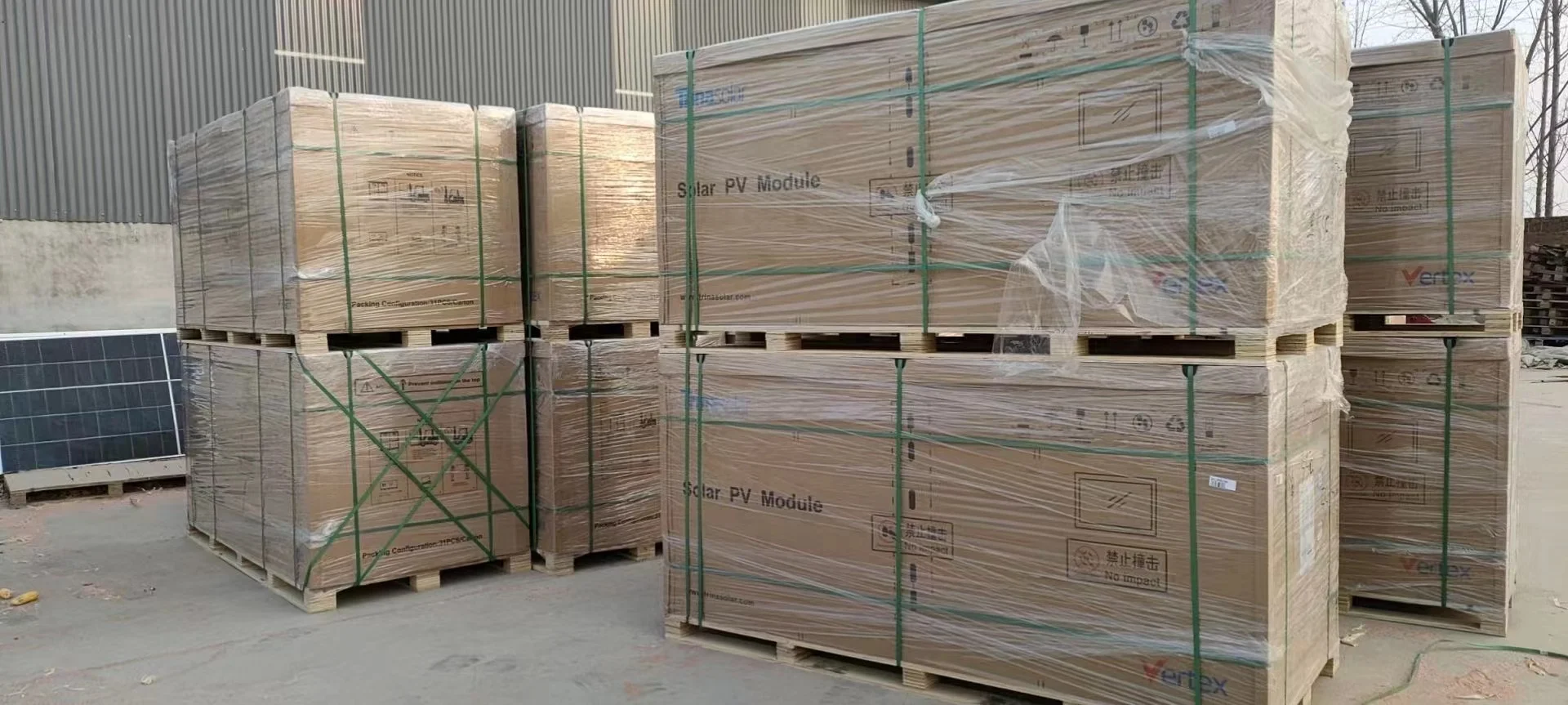 Trina Vertex Bifacial Dual Glass Module 640w 650w 655w Trina 132 Cells ...