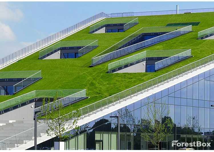 Modular Green Roof Trays - Efficient Green Roof Garden Planting Systems ...