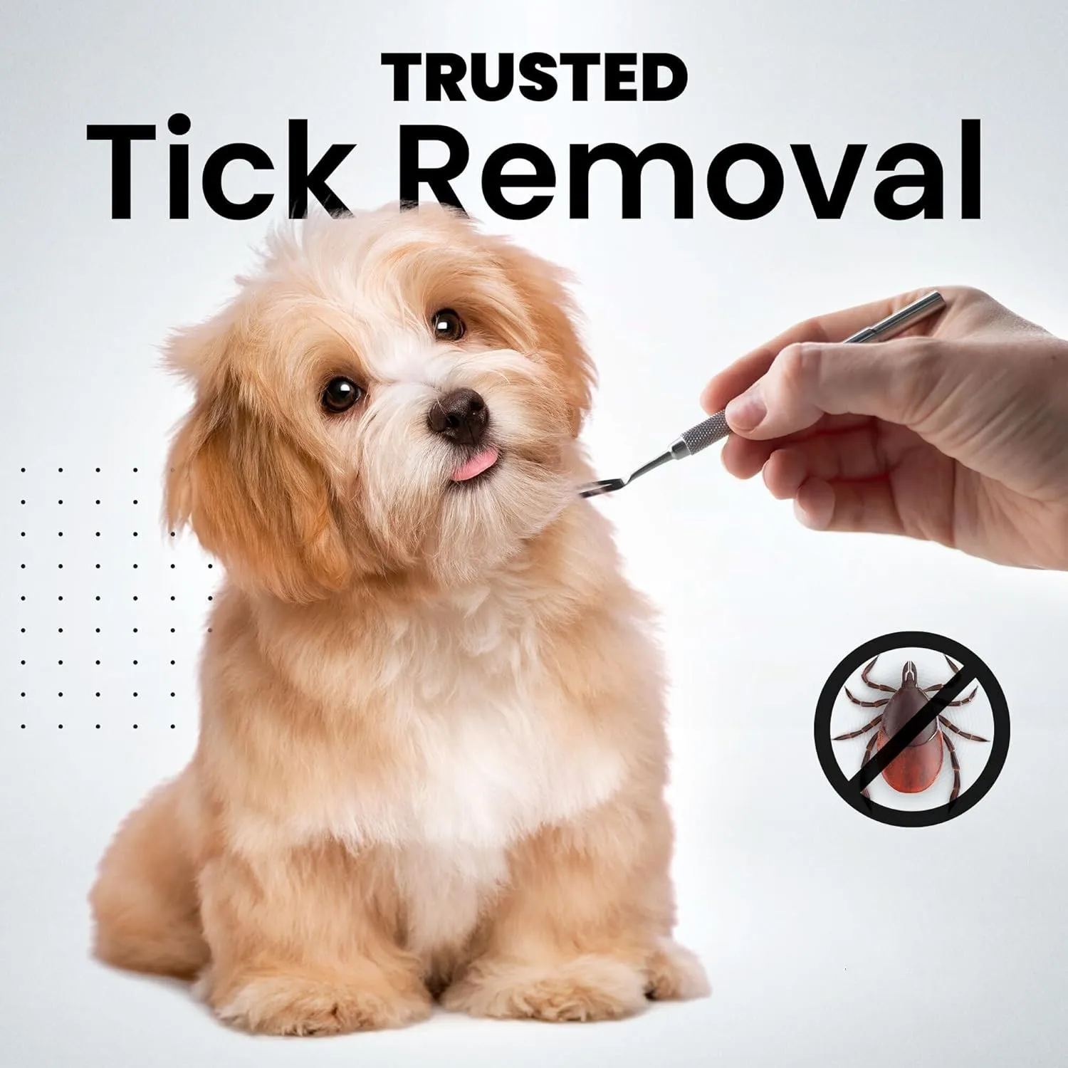 Stainless Steel Pet Tick Remover - Eco-Friendly Tool Set
