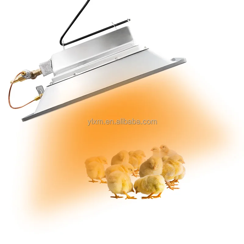 Wall Mounted NG/LPG Gas Heater for Chicken House Heating