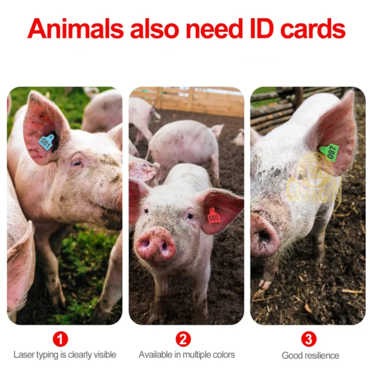 Blank Plastic Ear Tags Identification Livestock Pig Ear Tags For ...