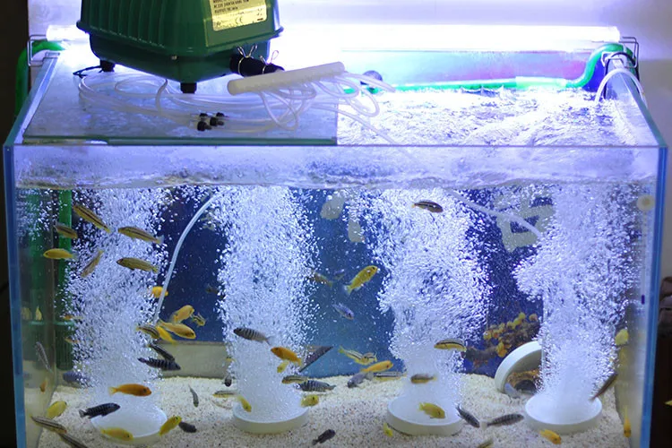 Hailea Aquarium Fish Pond Tank Low Noise Superpower Oxygen Pump ...