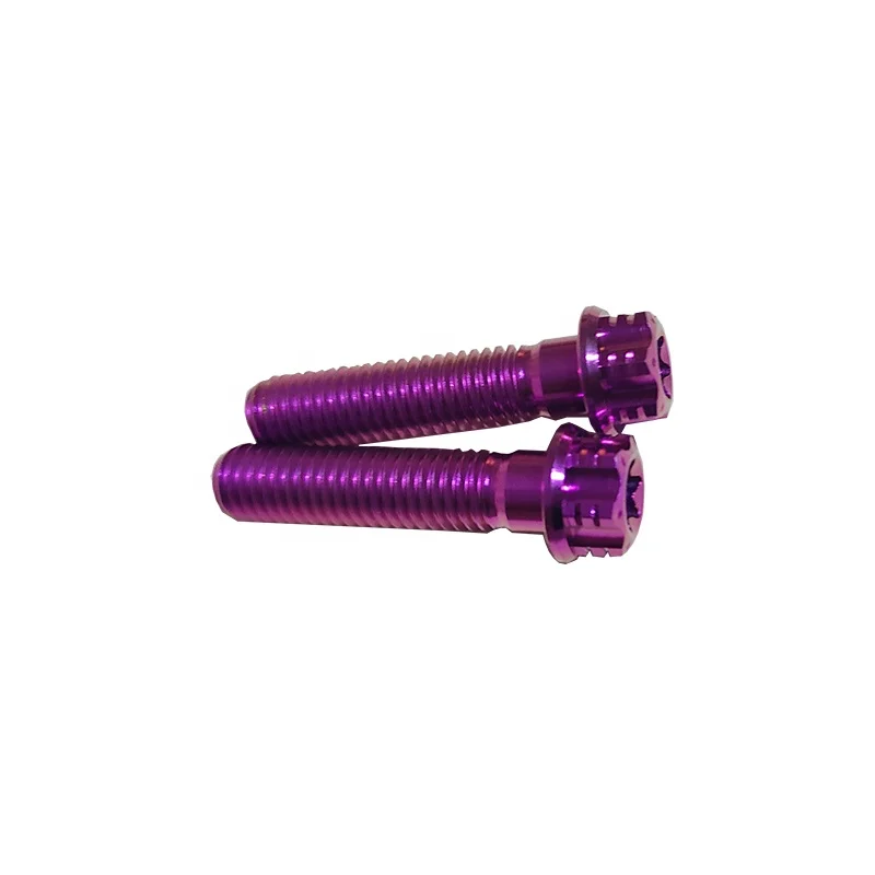 Customization M8 Gr5 Titanium Hex & Torx Head Flange Bolts Titanium ...