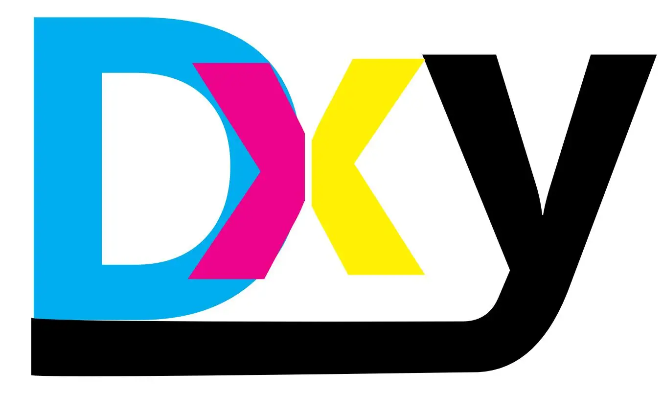 Company Overview - Xiamen Dxy Industry & Trade Co., Ltd.